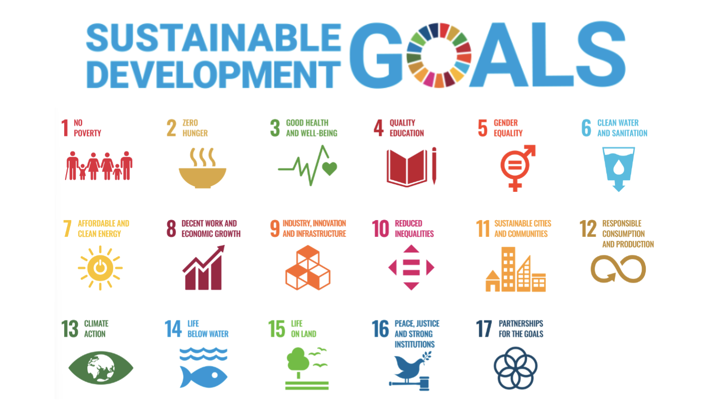 What are the UN SDGs? - Citizen Mint